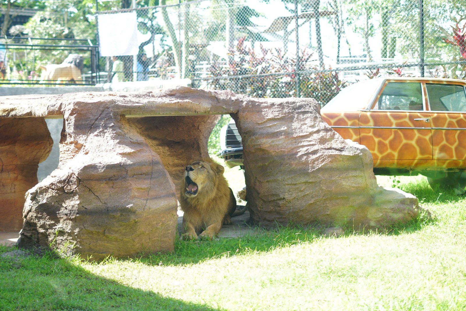 Jember Mini Zoo
